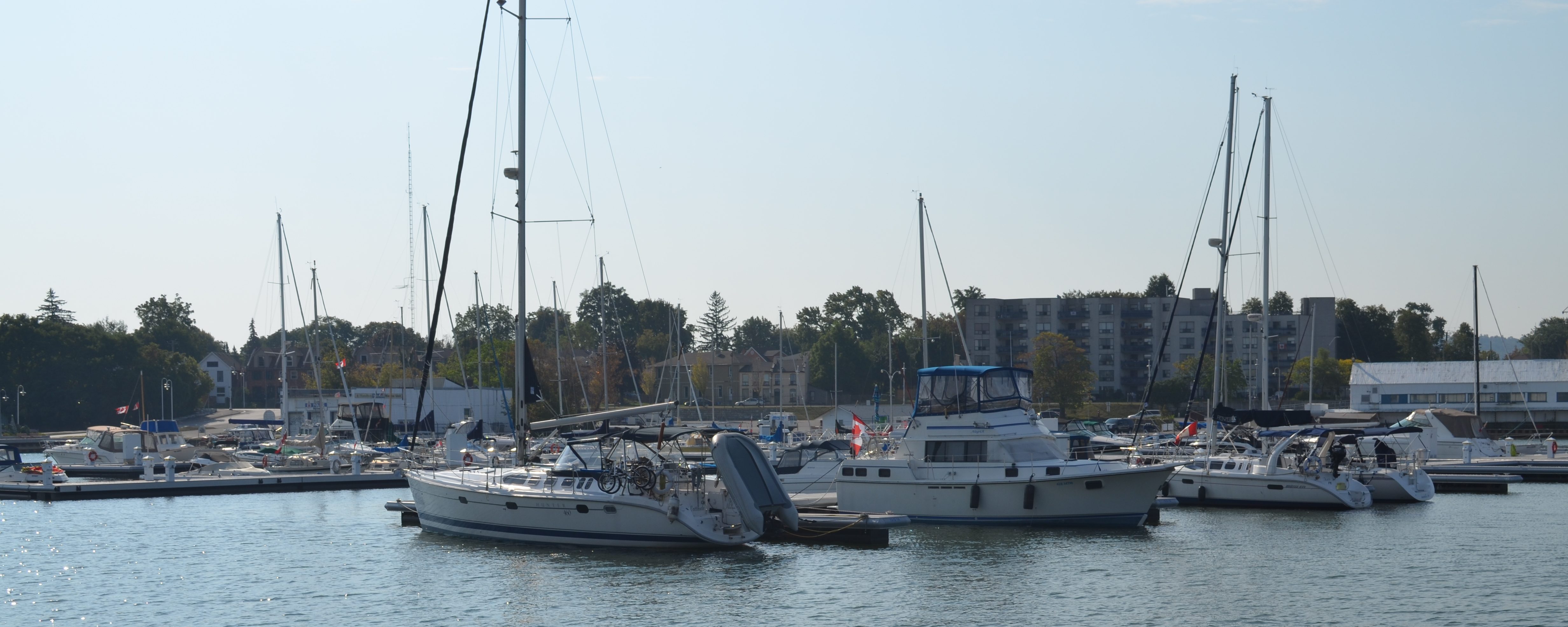 Blue-Green Algae | Harbour West Marina